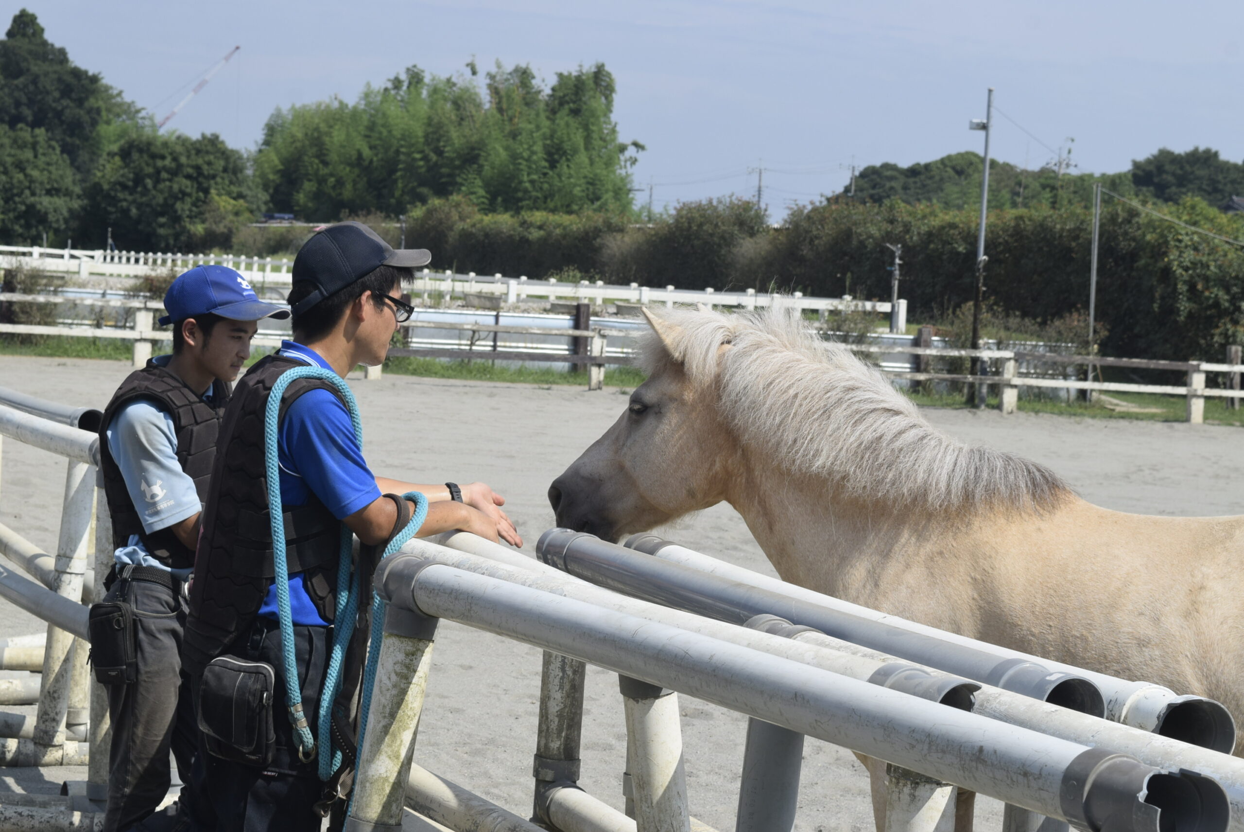 mknj (5) | 厩務員になるには？【公式】馬の学校 東関東馬事専門学院／馬の専門学校 馬事学院（バジガク）