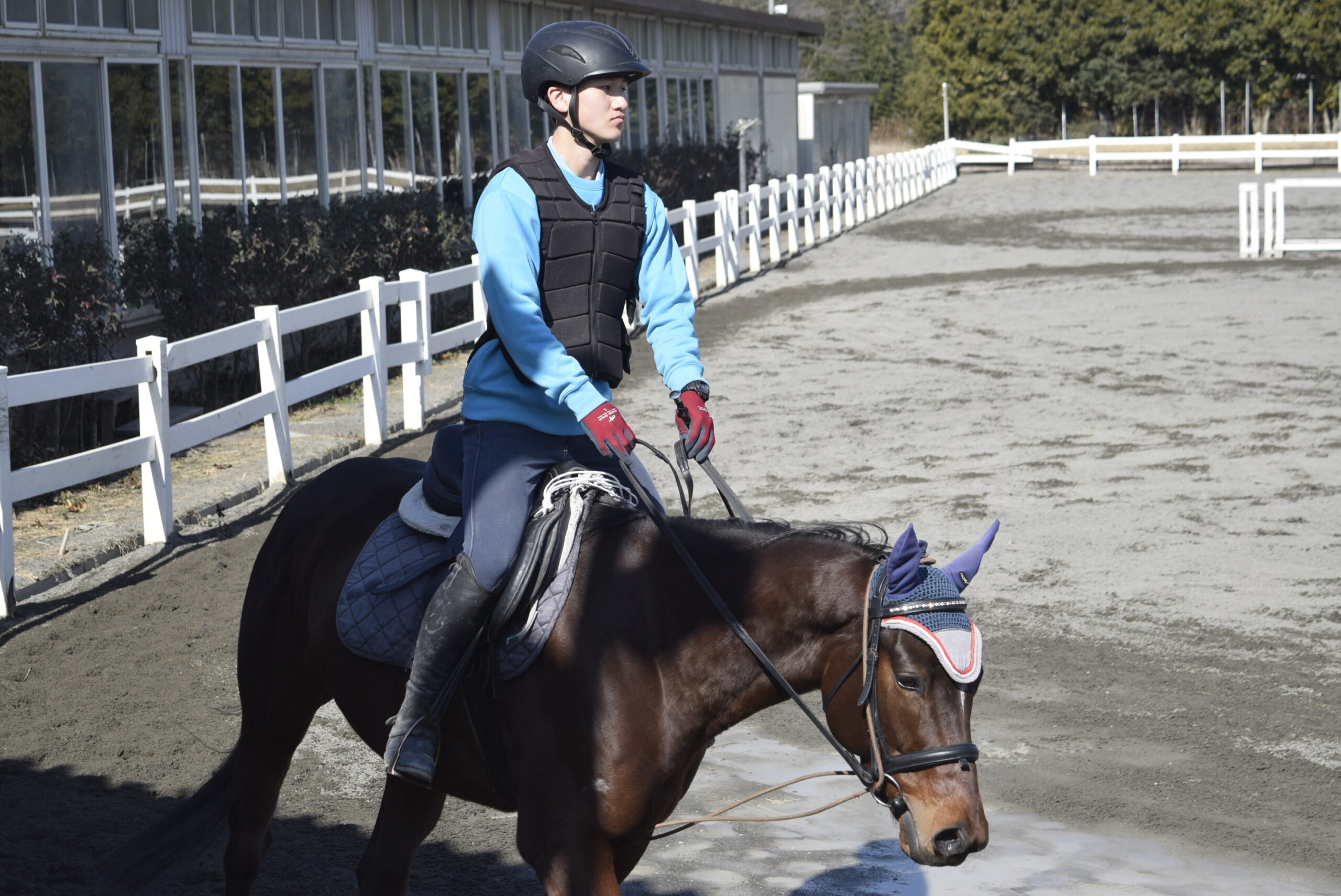 馬の学校ブログレッスンで目指すのは「人馬一体」/関東・全寮制 | JRA厩務員になるには【公式】馬の学校 東関東馬事専門学院／馬の専門学校 ...