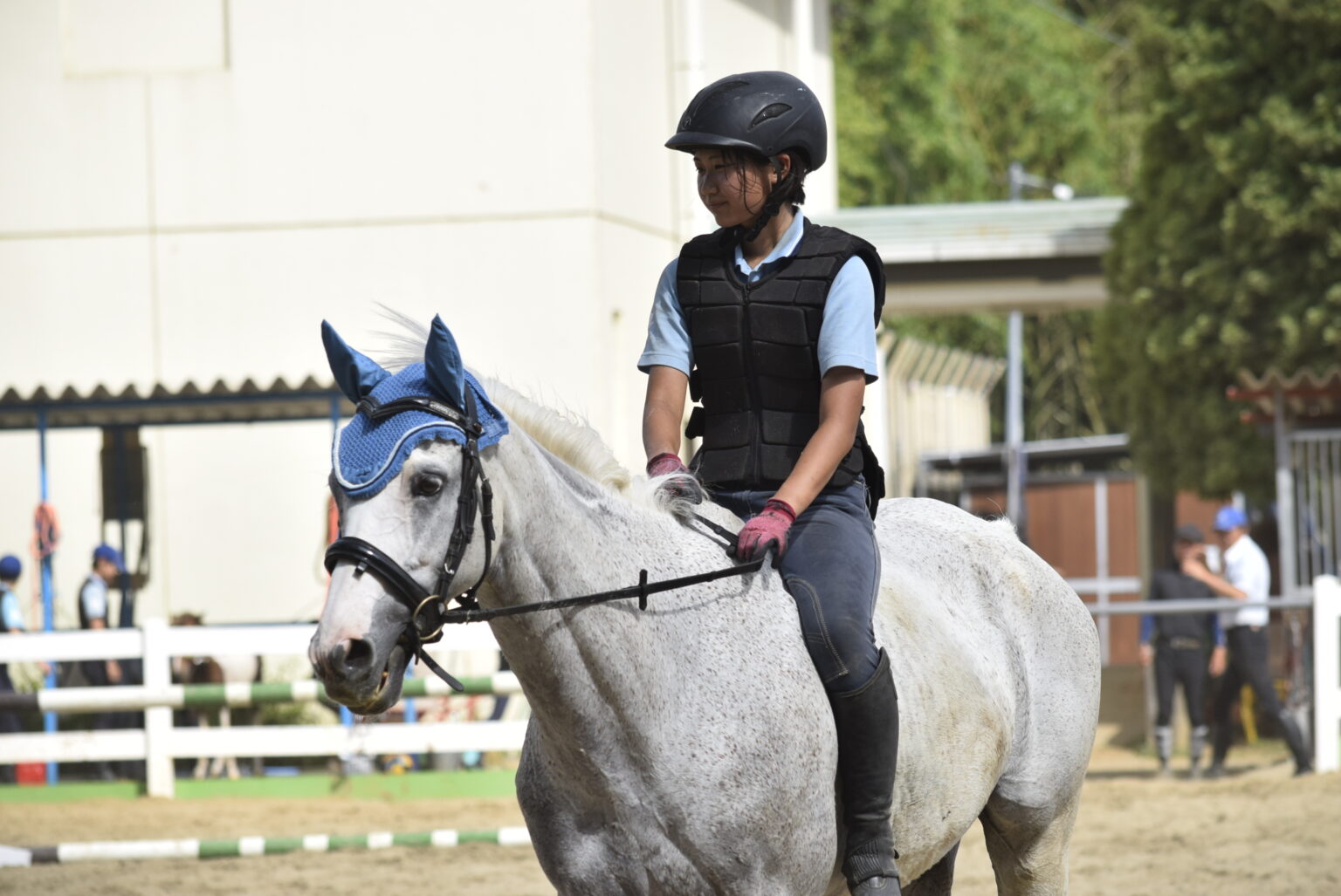 馬の学校 馬事学院／東関東馬事専門学院公式サイト