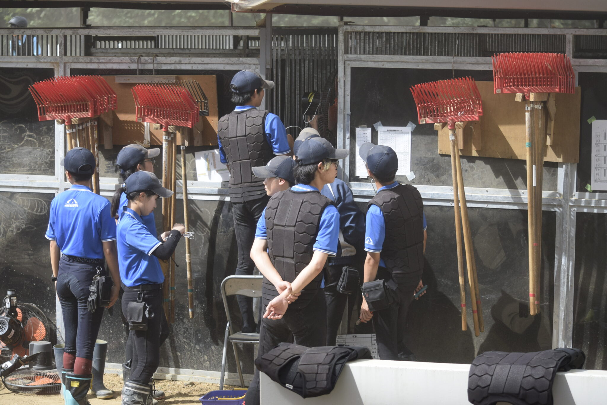 馬の学校ブログ「夏本番」に向けて準備中です！/通信制高校・全寮制 | 厩務員になるには【公式】馬の学校 東関東馬事専門学院／馬の専門学校 馬事 ...