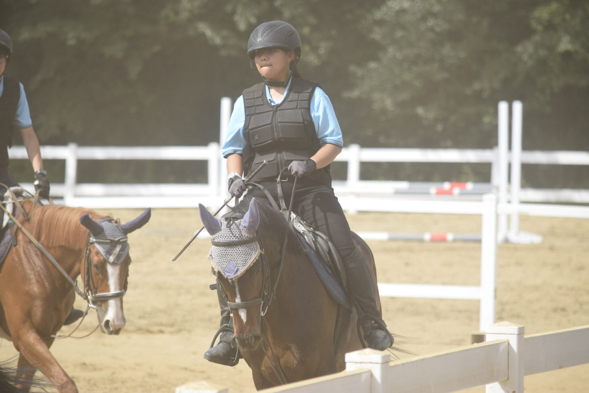馬の学校ブログ「夏本番」に向けて準備中です！/通信制高校・全寮制 | JRA厩務員になるには【公式】馬の学校 東関東馬事専門学院／馬の専門学校 ...