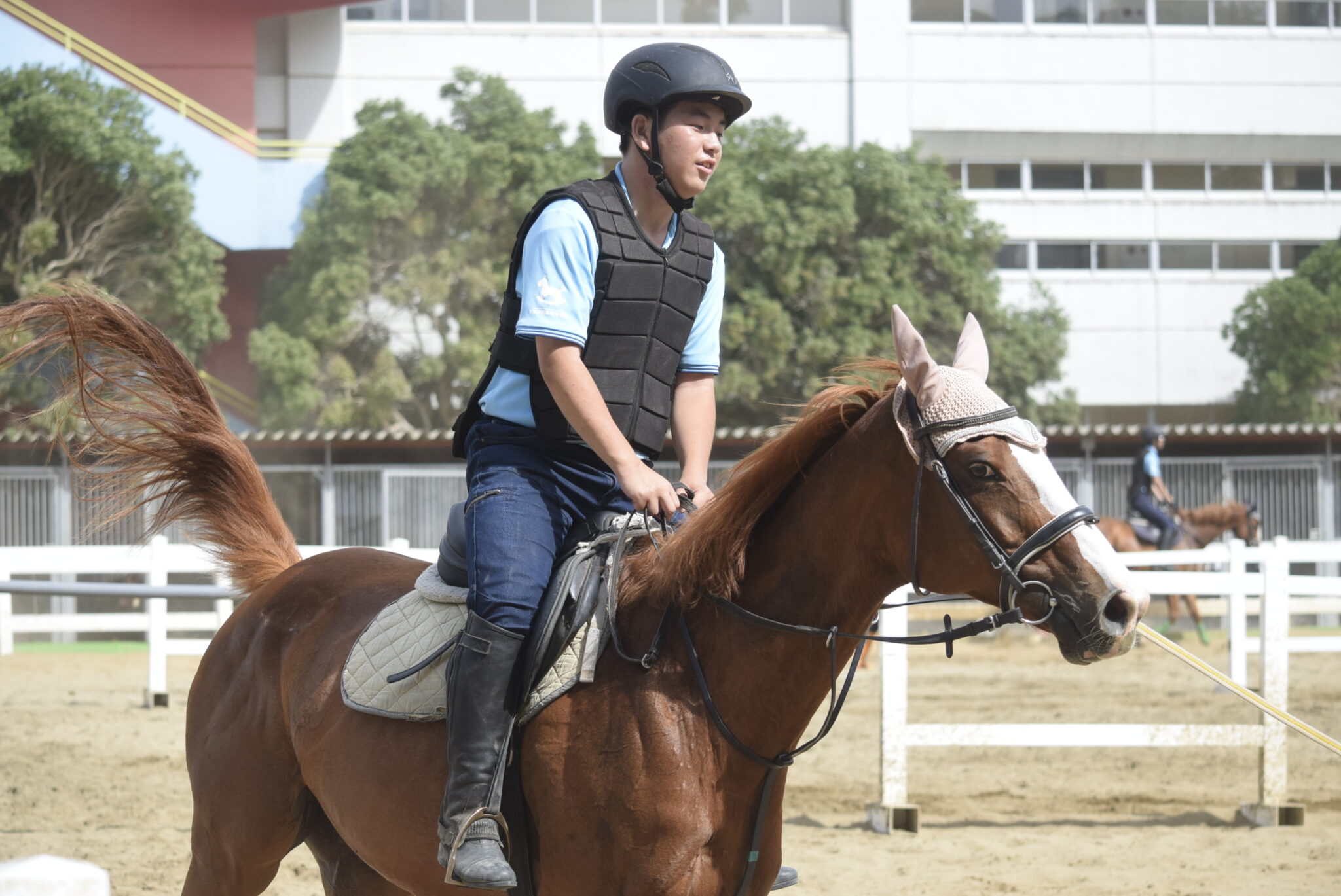 馬の学校ブログ「夏本番」に向けて準備中です！/通信制高校・全寮制 | 厩務員になるには【公式】馬の学校 東関東馬事専門学院／馬の専門学校 馬事 ...
